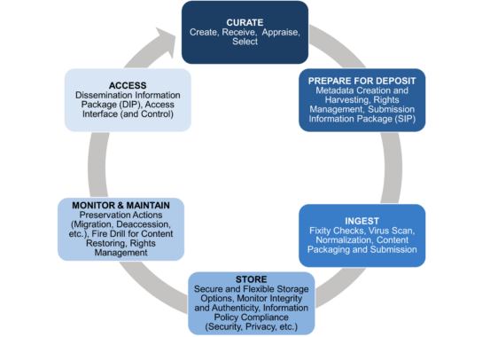 The Effectiveness and Durability of Digital Preservation and Curation ...